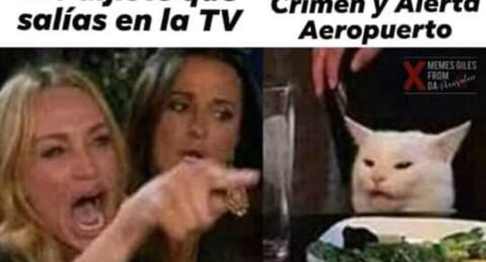Los mejores memes del gato blanco en la mesa y la mujer gritándole ...
